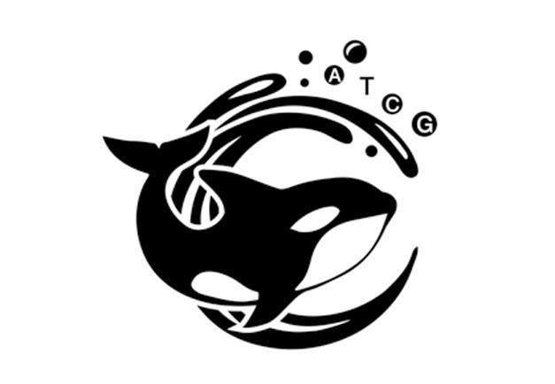 ATCG商标注册查询|商标进度查询|商标注册成功率查询-路标网