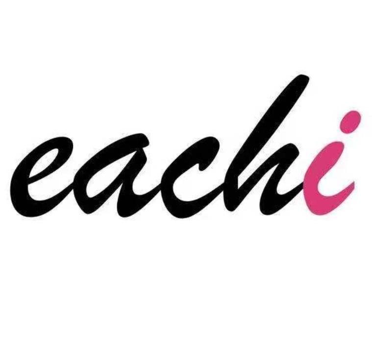 EACHI商标查询注册第25类-服装鞋帽类商标查询-路标网